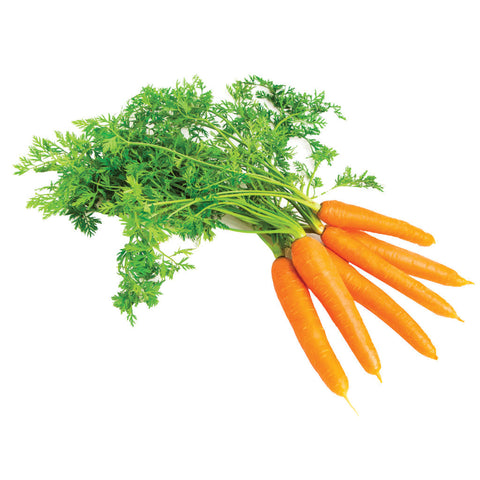 Supermarché PA / Organic Fresh Carrots per bunch (4-5 Carrots)