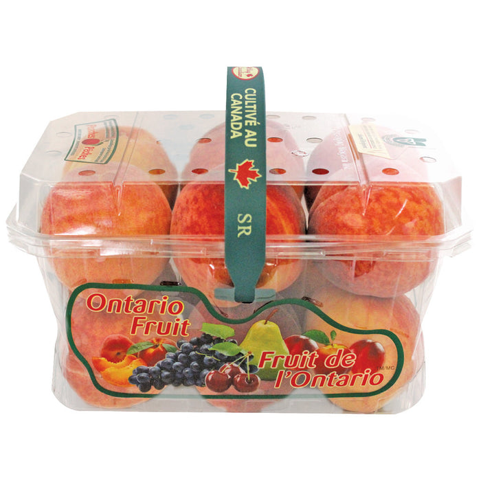 Supermarché PA / Fresh Fruits
